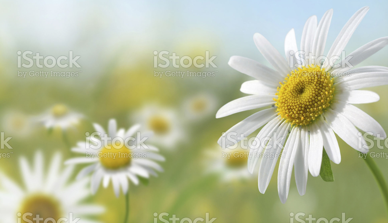 Industry News - Colony Court Senior Living Solutions